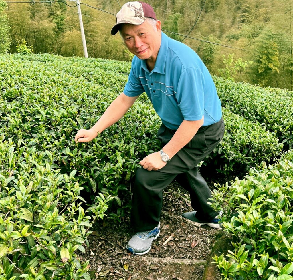 One Tea One Fun - Our Story & How to Make a Nice Tea